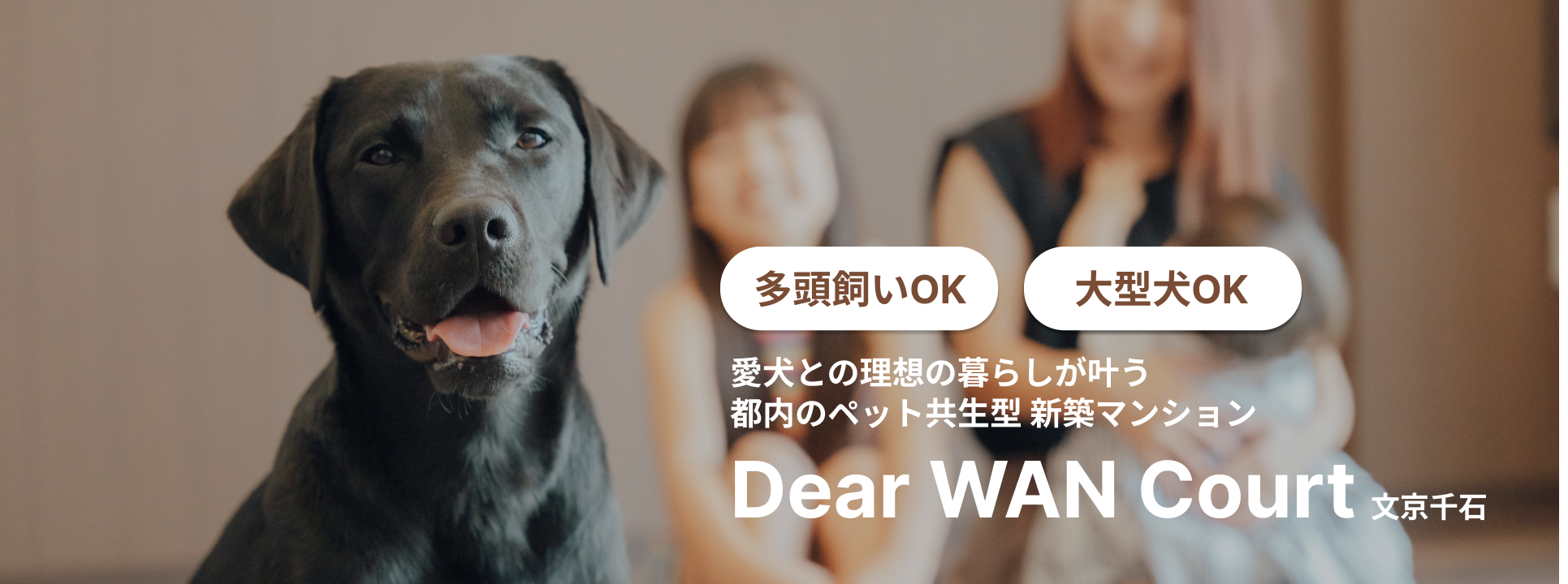 Dear WAN Court（ディアワンコート）文京千石